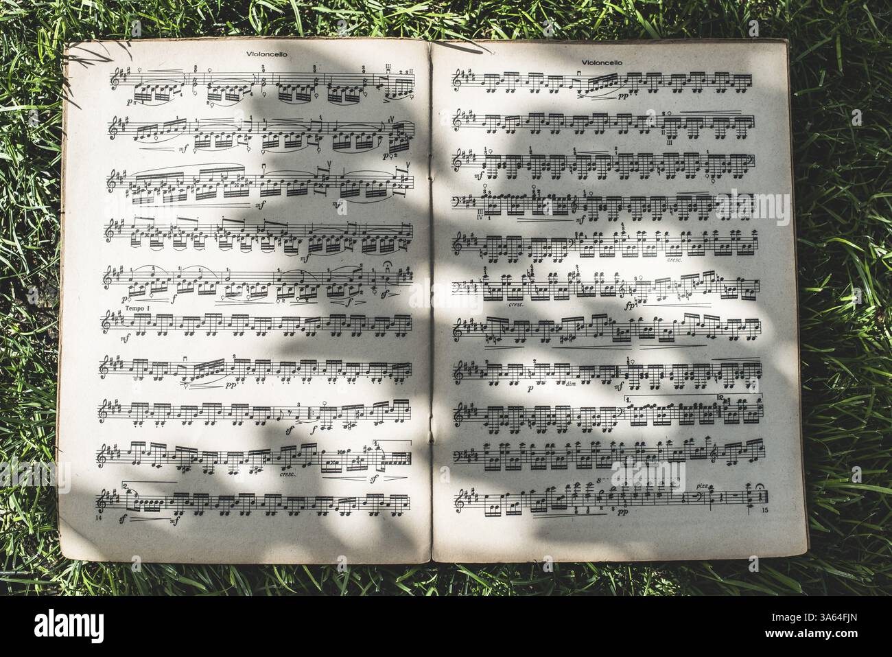 Music book with notes on grass. Dappled shade Stock Photo - Alamy