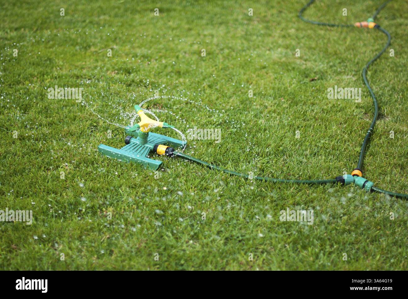Lawn sprinkler splashing water over green grass Stock Photo - Alamy