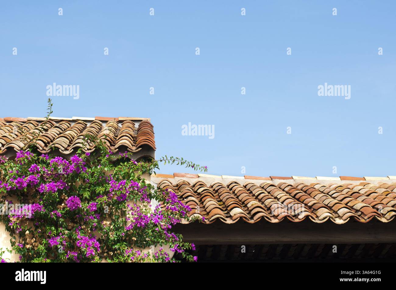 Tile roof and purple flowers. Blue sky copy space Stock Photo - Alamy