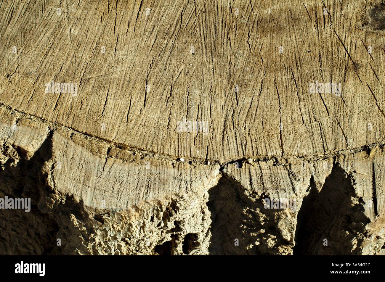 Old log background Stock Photo - Alamy
