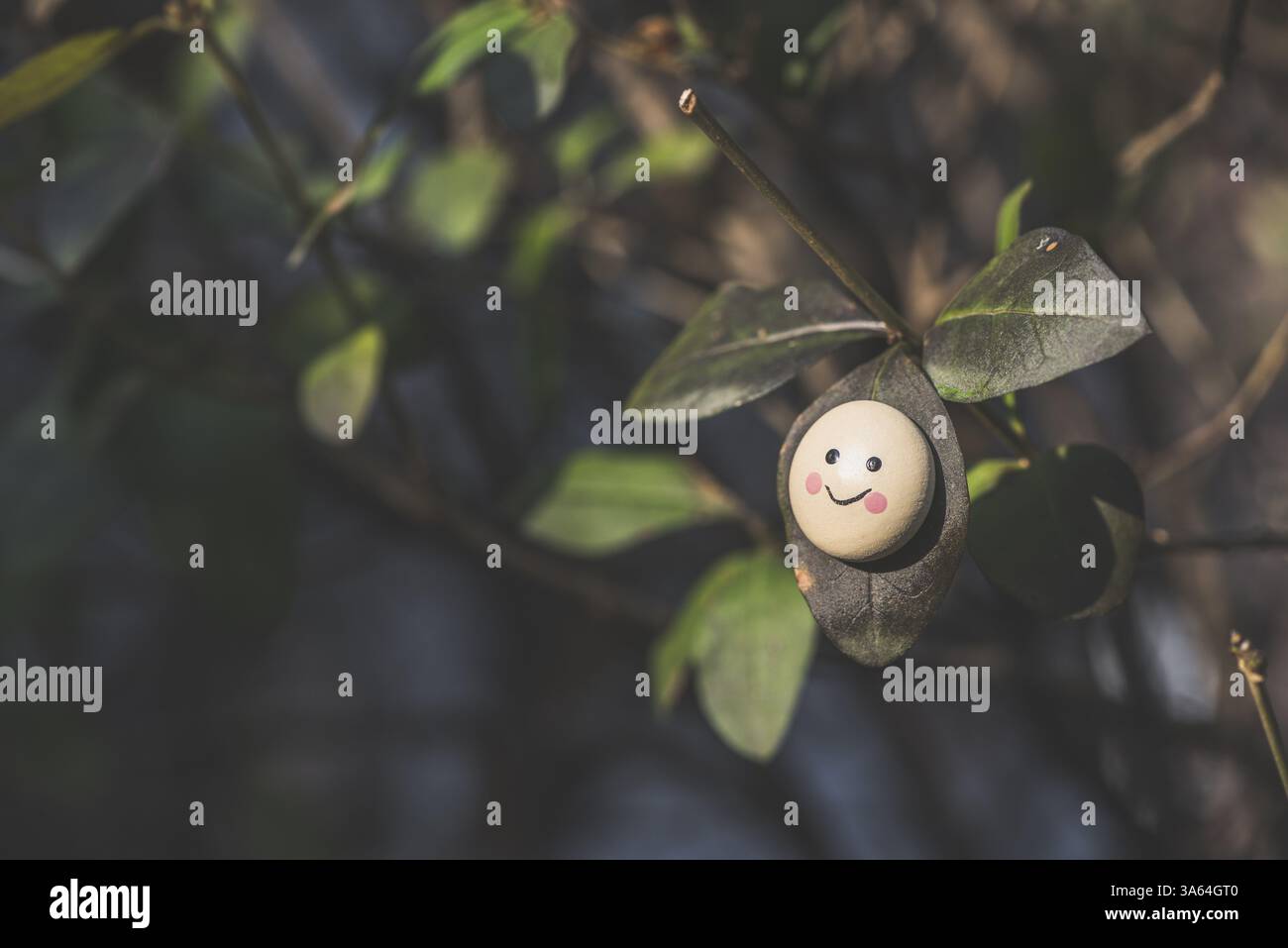 Smile icon miniature on tree twig Stock Photo - Alamy