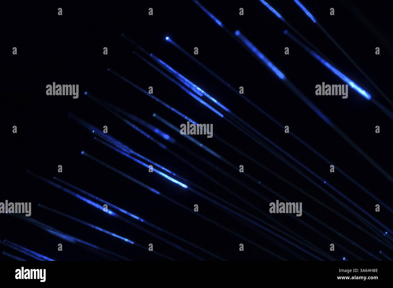 Optical fibers of fiber optic cable. Internet technology.Blue color ...