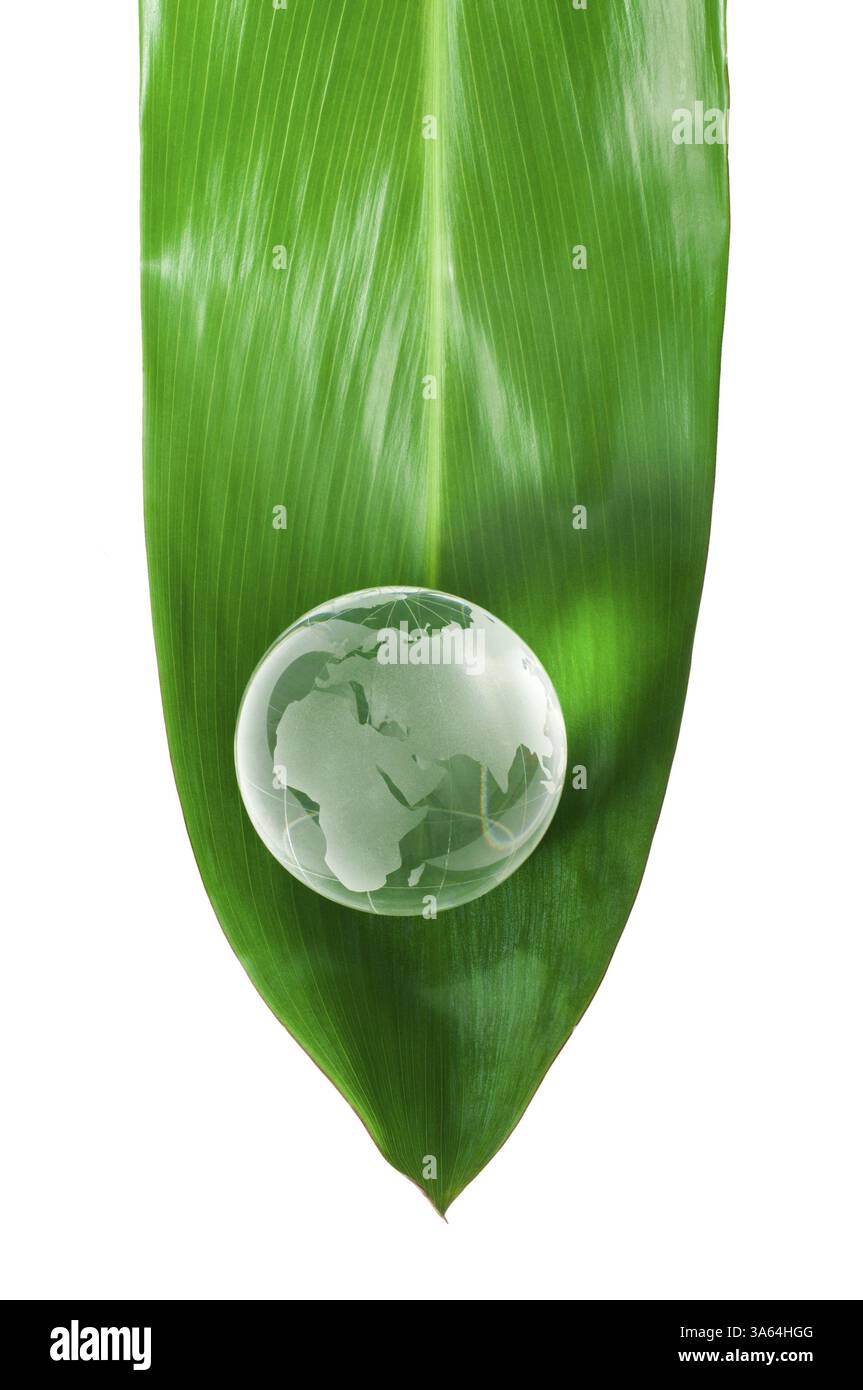 Glass globe on green hi-res stock photography and images - Alamy