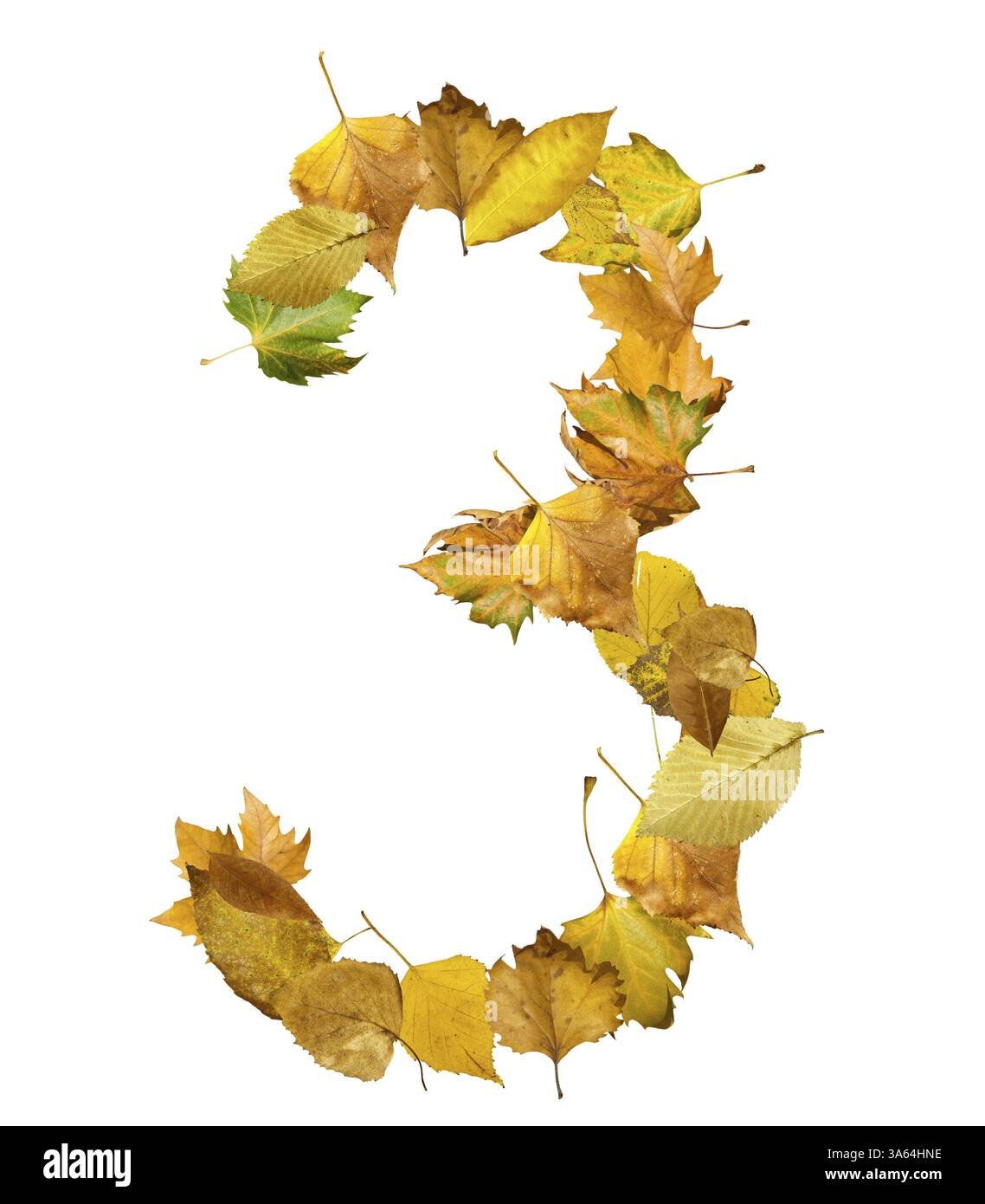 Number three made of autumn leaves. White isolated Stock Photo - Alamy