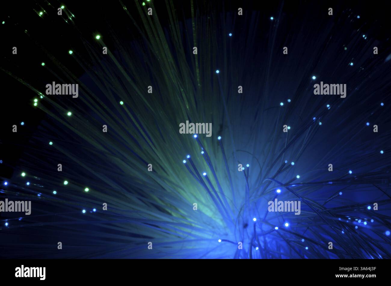 Optical fibers of fiber optic cable. Internet technology.Blue color ...