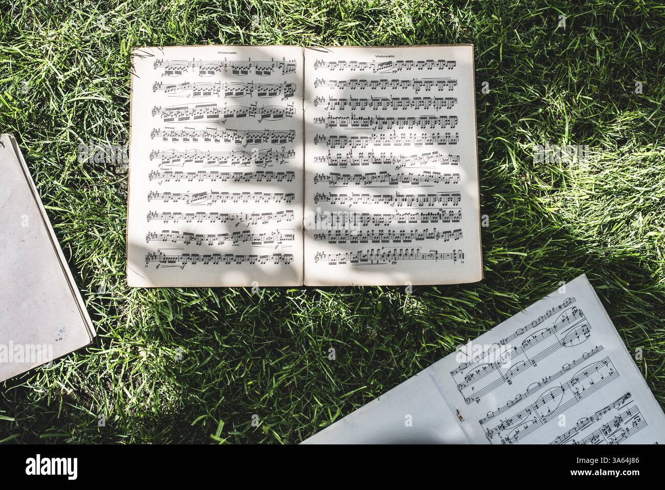 Music book with notes on grass. Dappled shade Stock Photo - Alamy