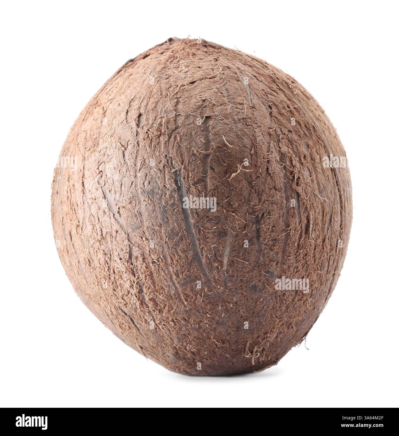 One natural coconut in Cut Out Stock Images & Pictures - Alamy
