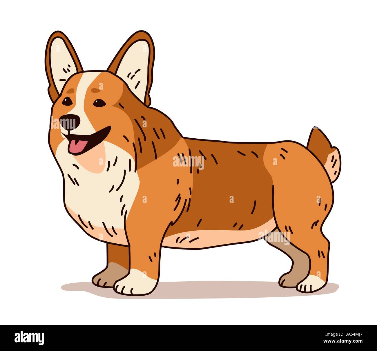 Corgi dog cartoon style illustration showing a happy standing corgi ...