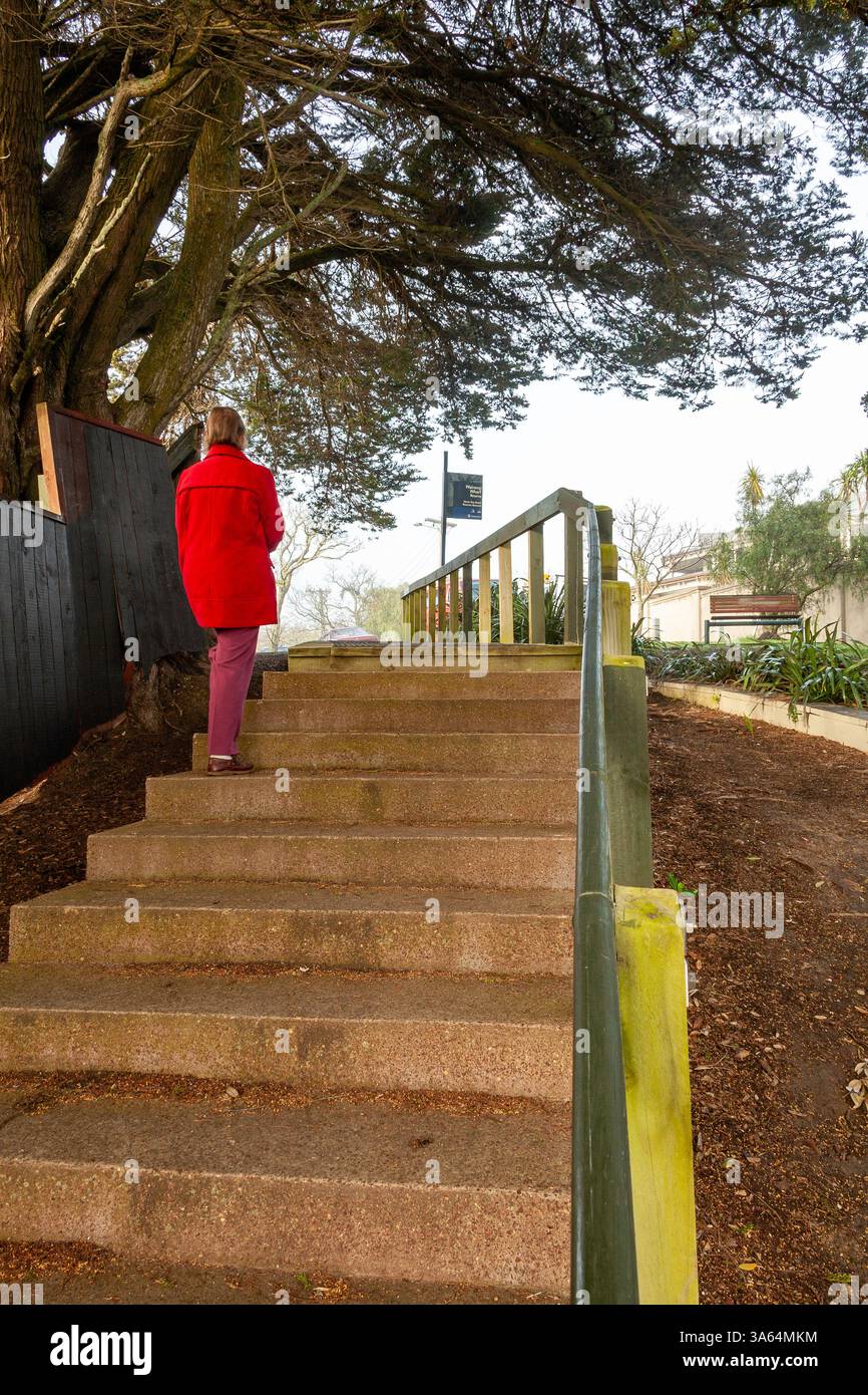 an individual in a red jacket ascending a concrete staircase outdoors ...