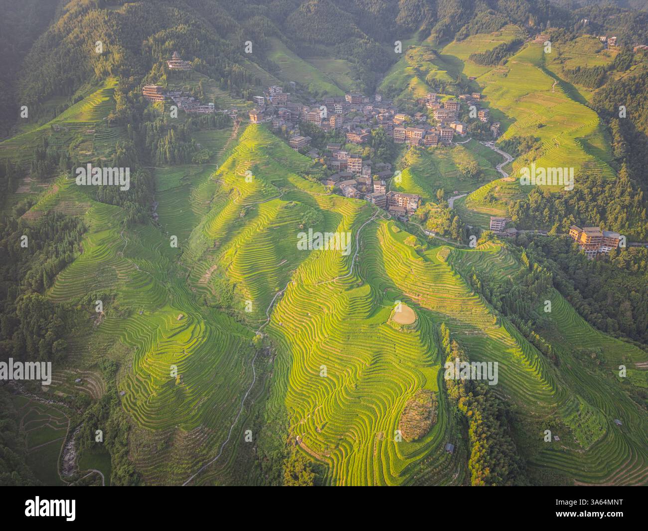 Aerial drone image of the beautiful formation of paddy terrace at ...
