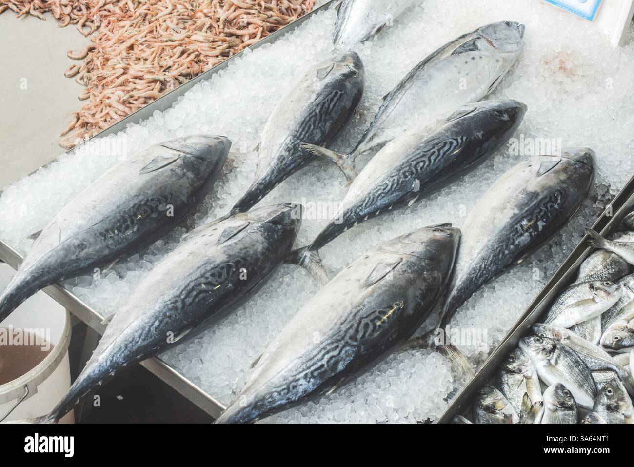 Empty fish market on hi-res stock photography and images - Alamy