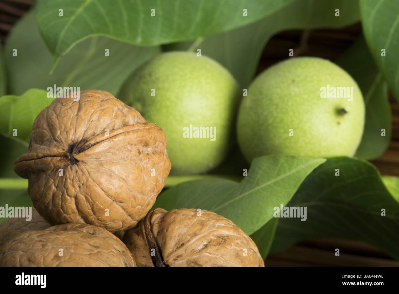 Ground walnut shells hi-res stock photography and images - Alamy