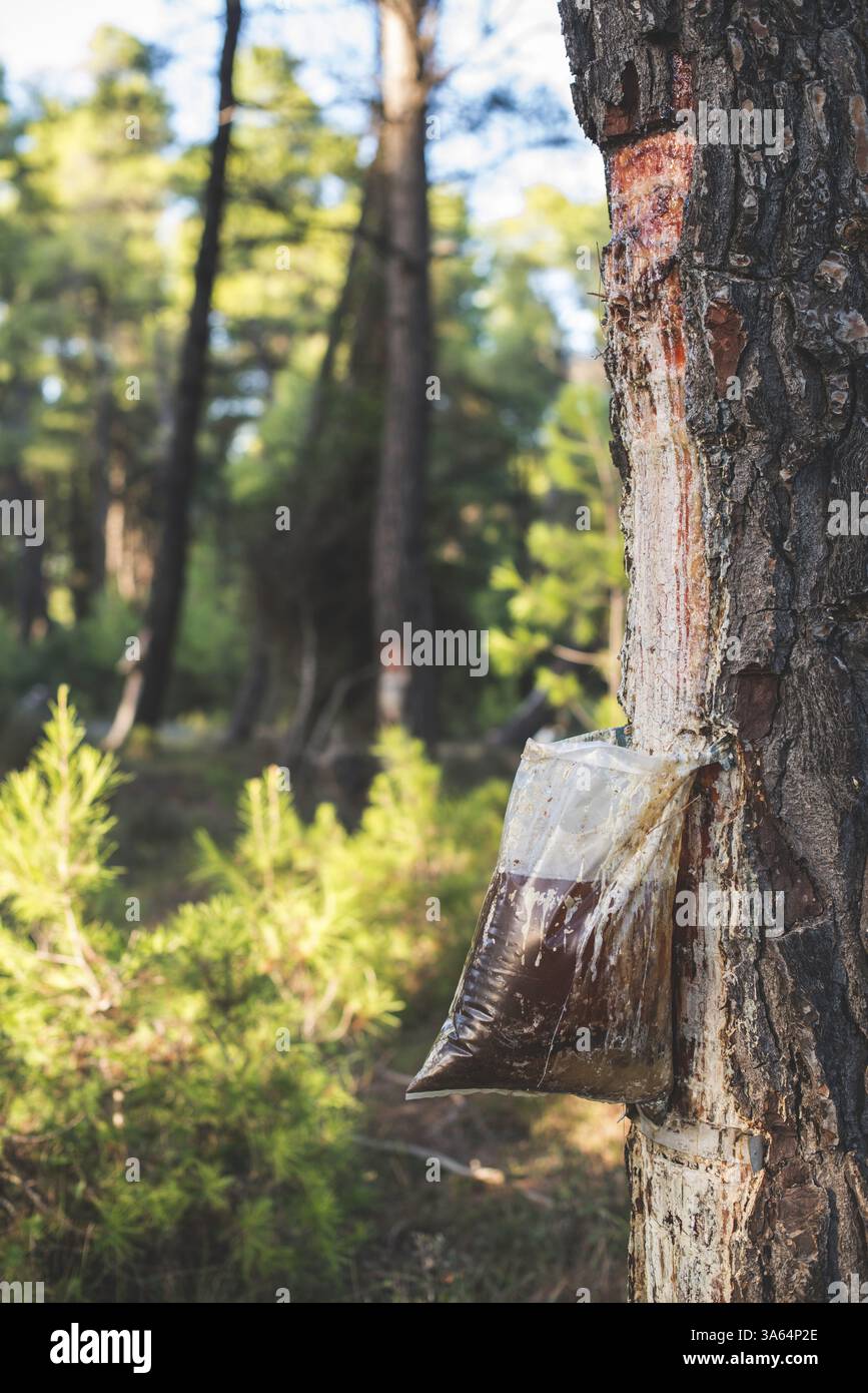 Raw plastic materials hi-res stock photography and images - Alamy