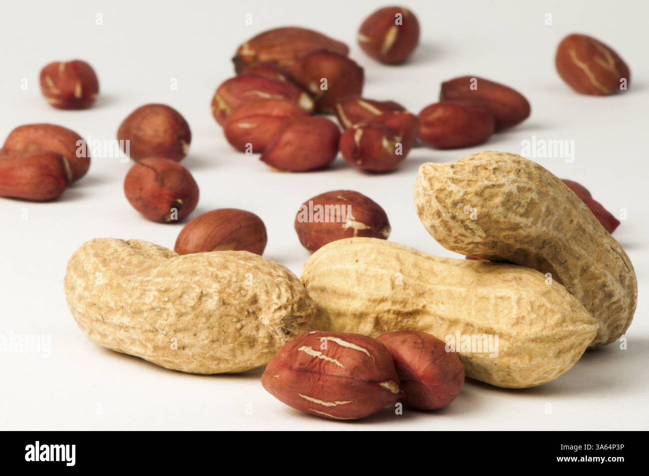 Raw peanuts in shells and shelled peanuts white isolated Stock Photo ...
