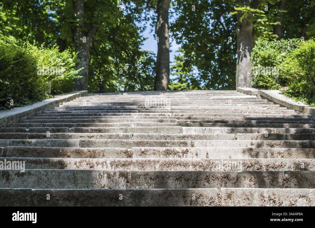 Stairs in the Park. Green park Stock Photo - Alamy