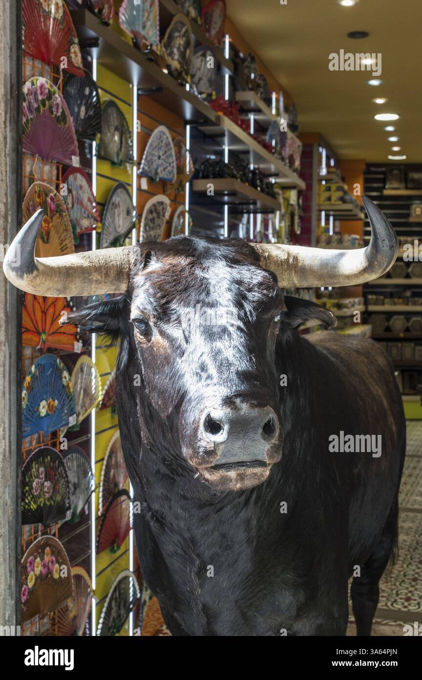 Traditional spanish souvenirs and bull Stock Photo - Alamy