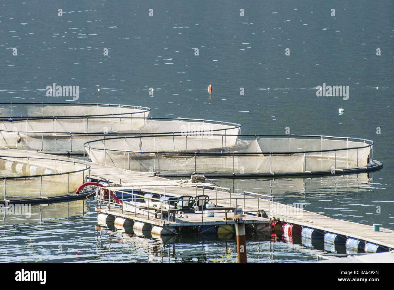 Cages for fish farming in lake Stock Photo - Alamy