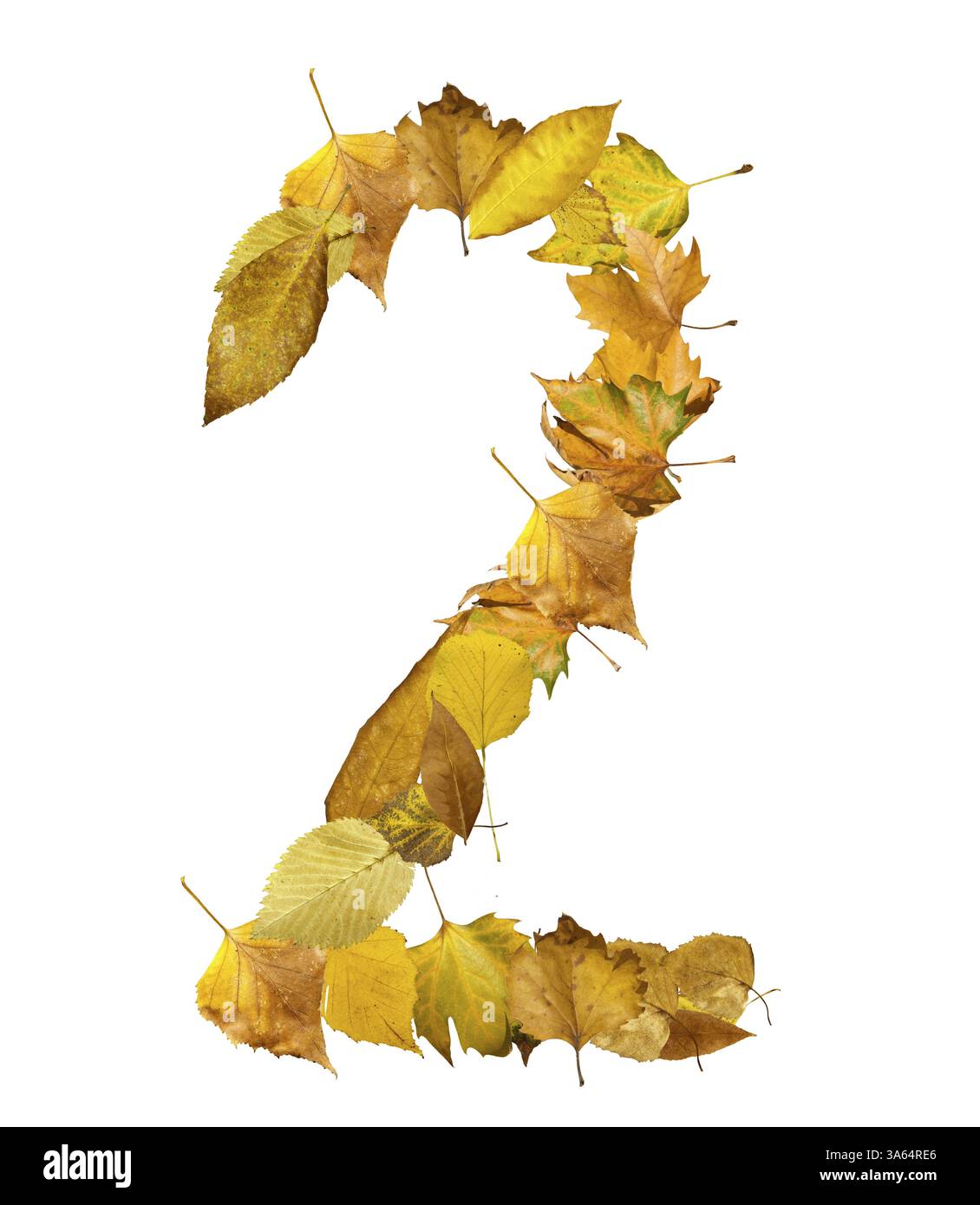 Number Two made of autumn leaves. White isolated Stock Photo - Alamy