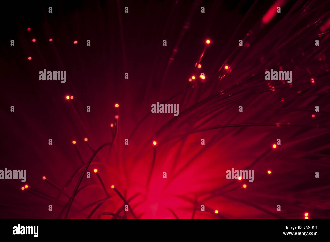 Optical fibers of fiber optic cable. Internet technology.Red color ...