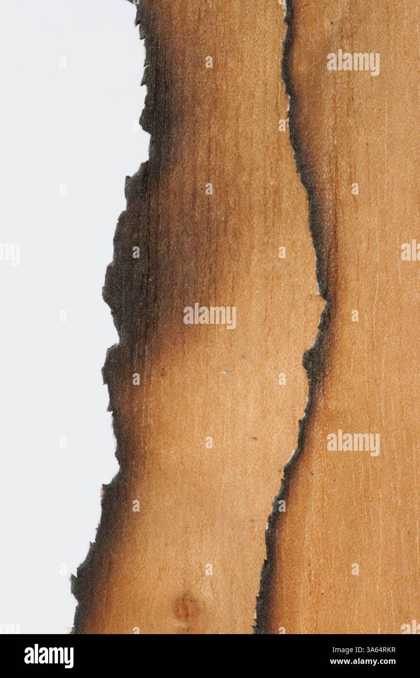 Text on burned paper hi-res stock photography and images - Alamy