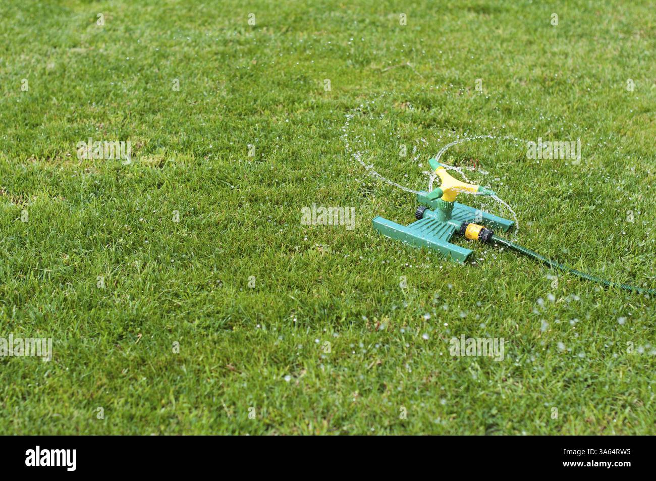 Lawn sprinkler splashing water over green grass Stock Photo - Alamy