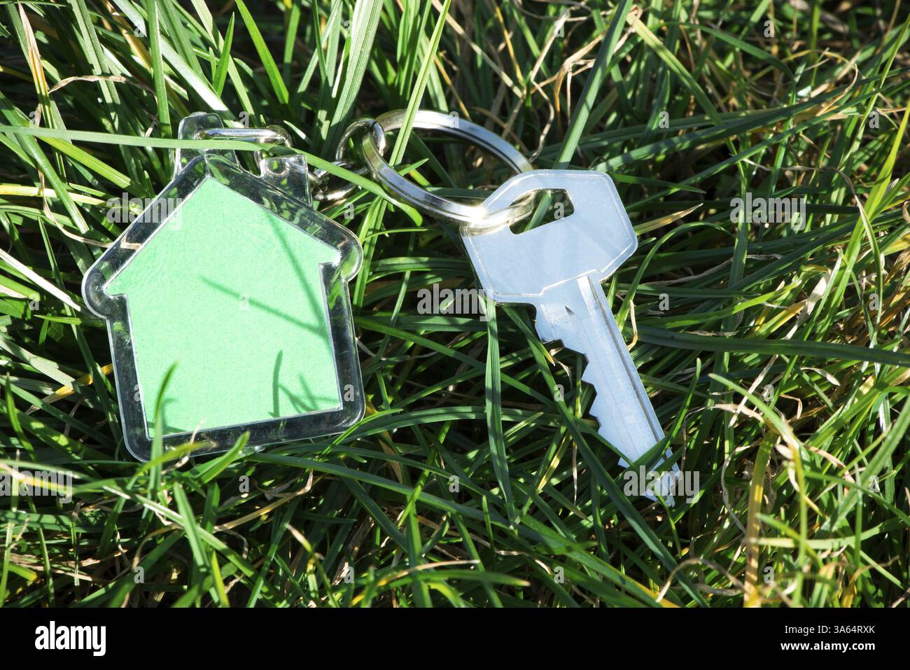Shape of a house on grass and keys. Sun light Stock Photo - Alamy