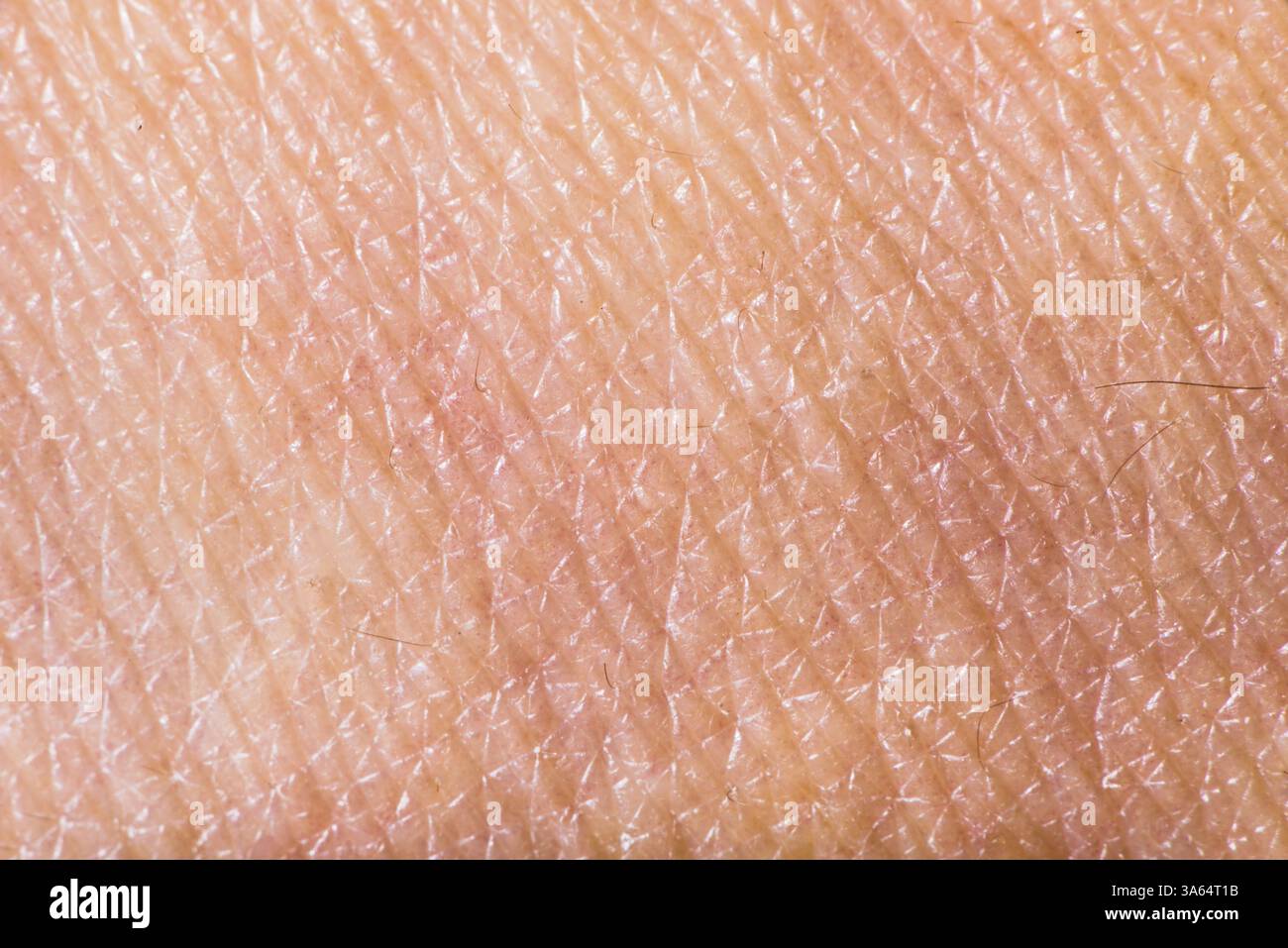 Extremely close up photograph hi-res stock photography and images - Alamy