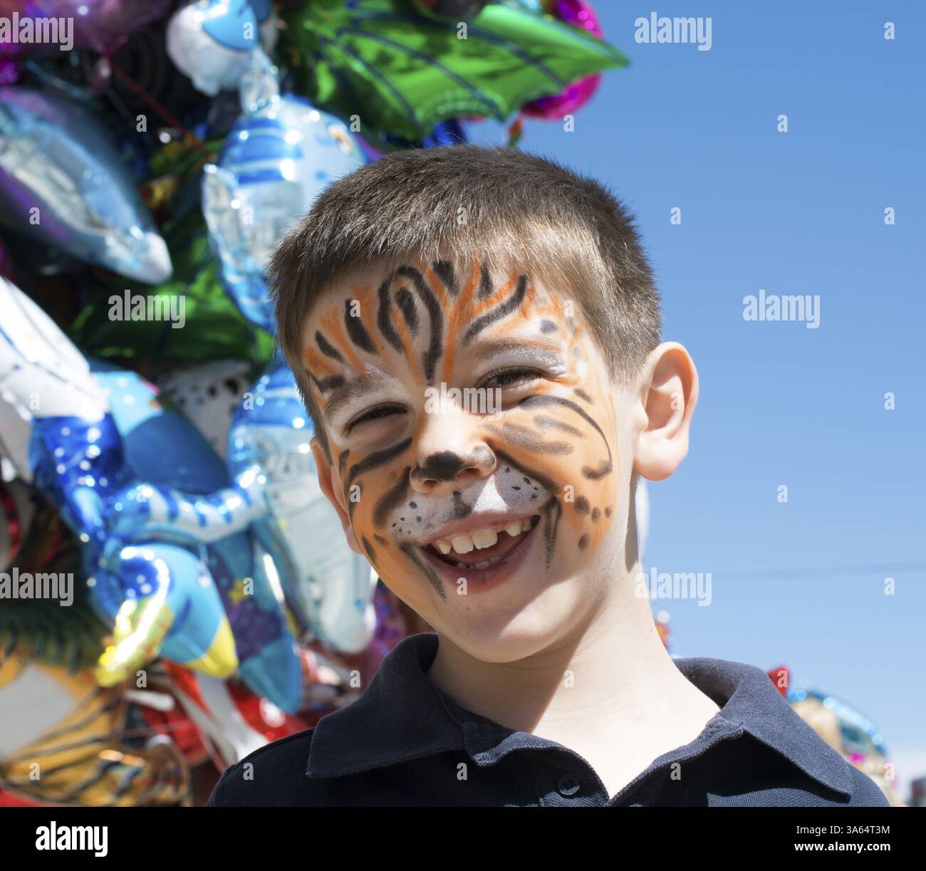 Child with painted face. Tiger paint. Boy on children's holiday Stock ...