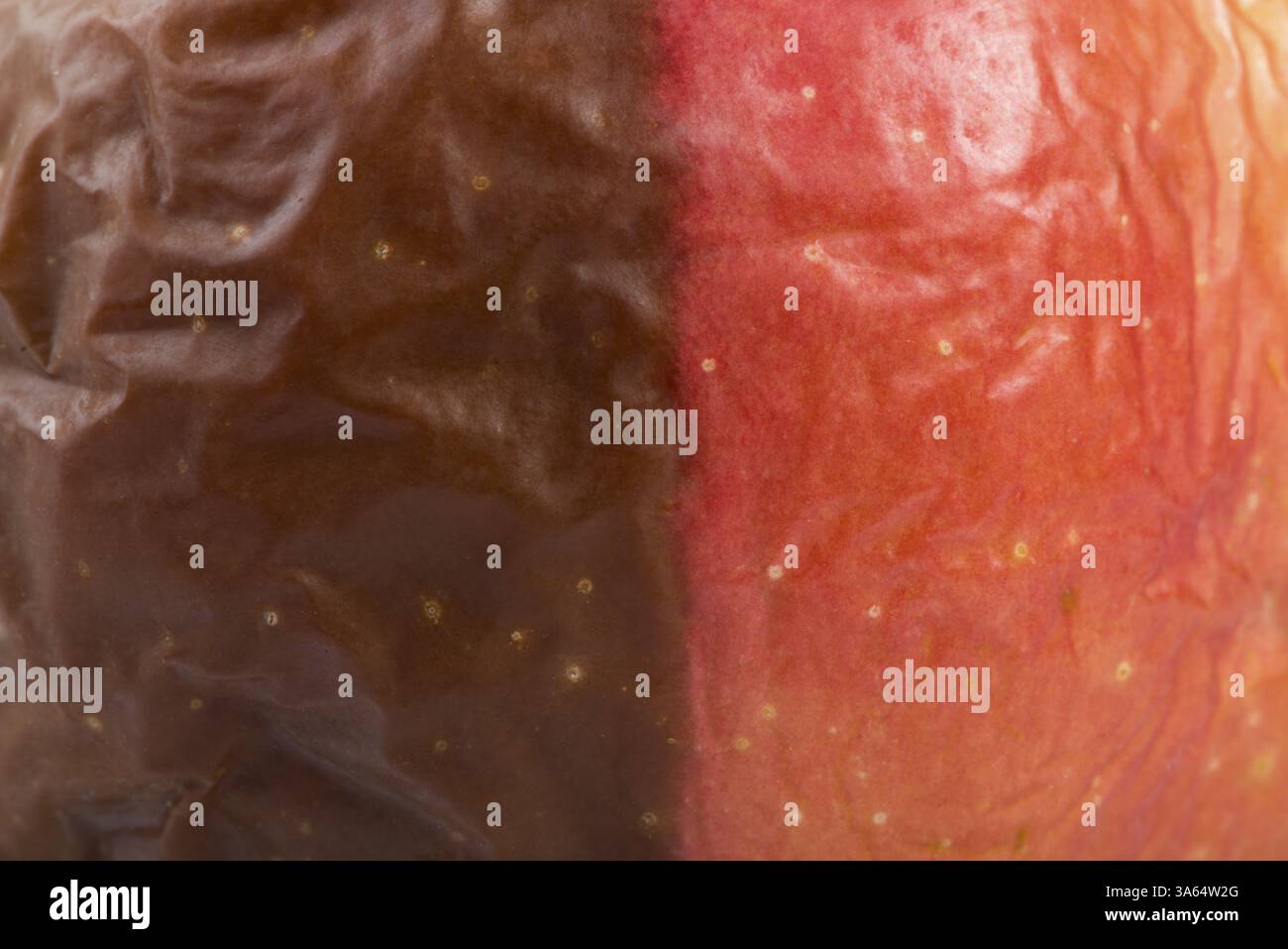 Part rotted hi-res stock photography and images - Alamy