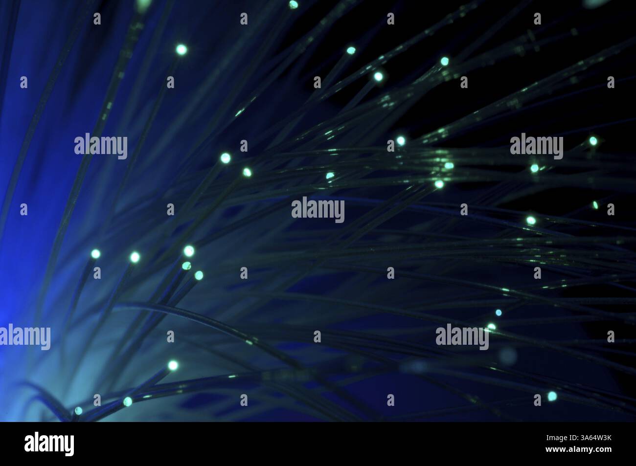 Blue colors optical fibers Stock Photo - Alamy