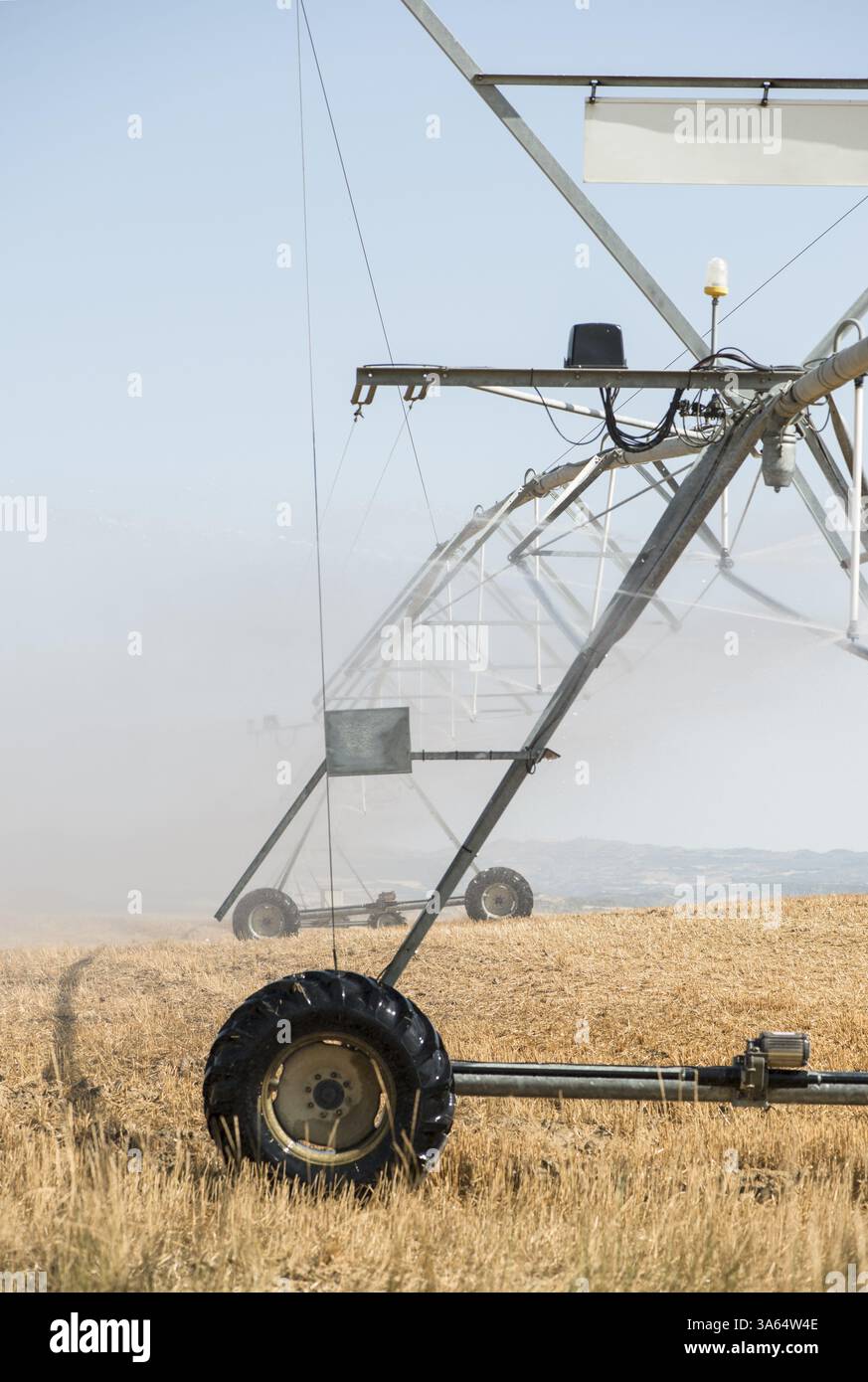 Irrigation sprayers in the field. Yellow plants Stock Photo - Alamy