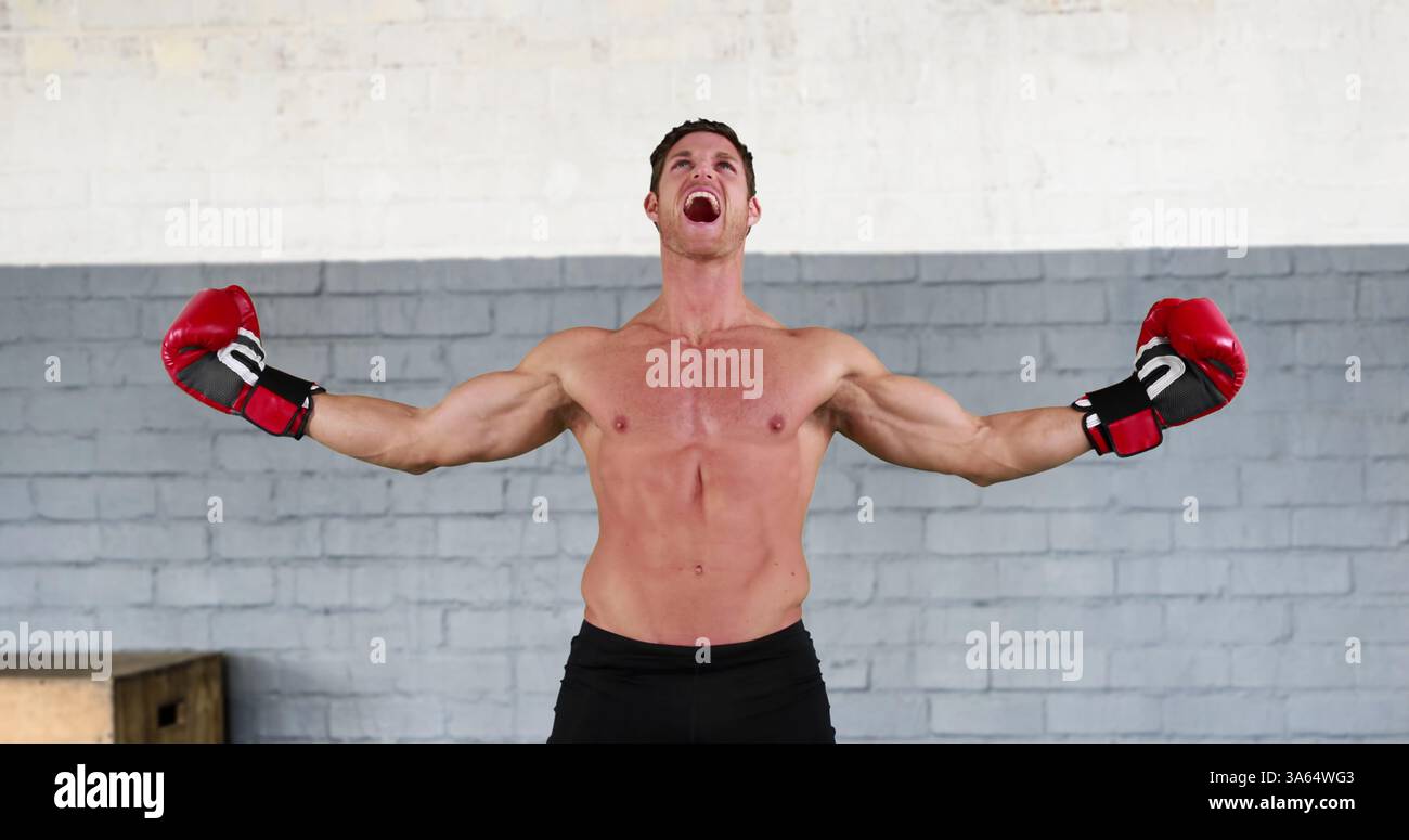 Boxer celebrating victory with arms raised, wearing red gloves in gym ...