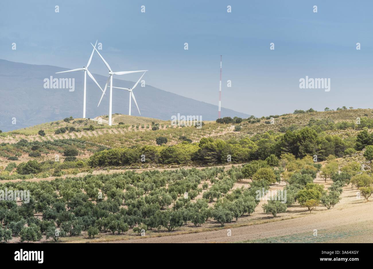 Wind turbines on a hill and olive trees Stock Photo - Alamy
