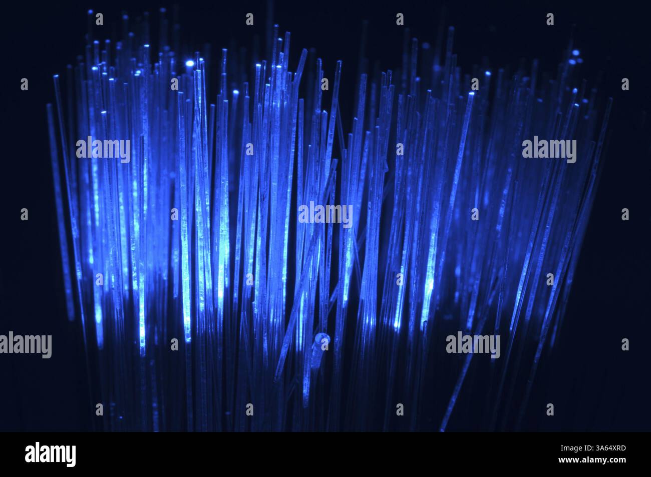 Blue colors optical fibers Stock Photo - Alamy