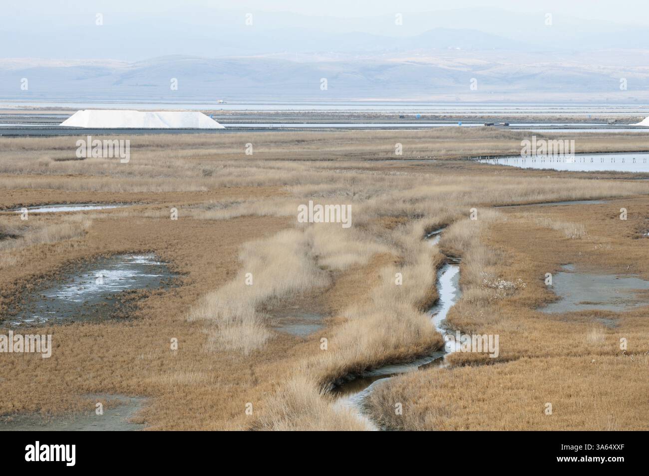 Sea â€‹â€‹saltern. Ponds for salt production Stock Photo - Alamy