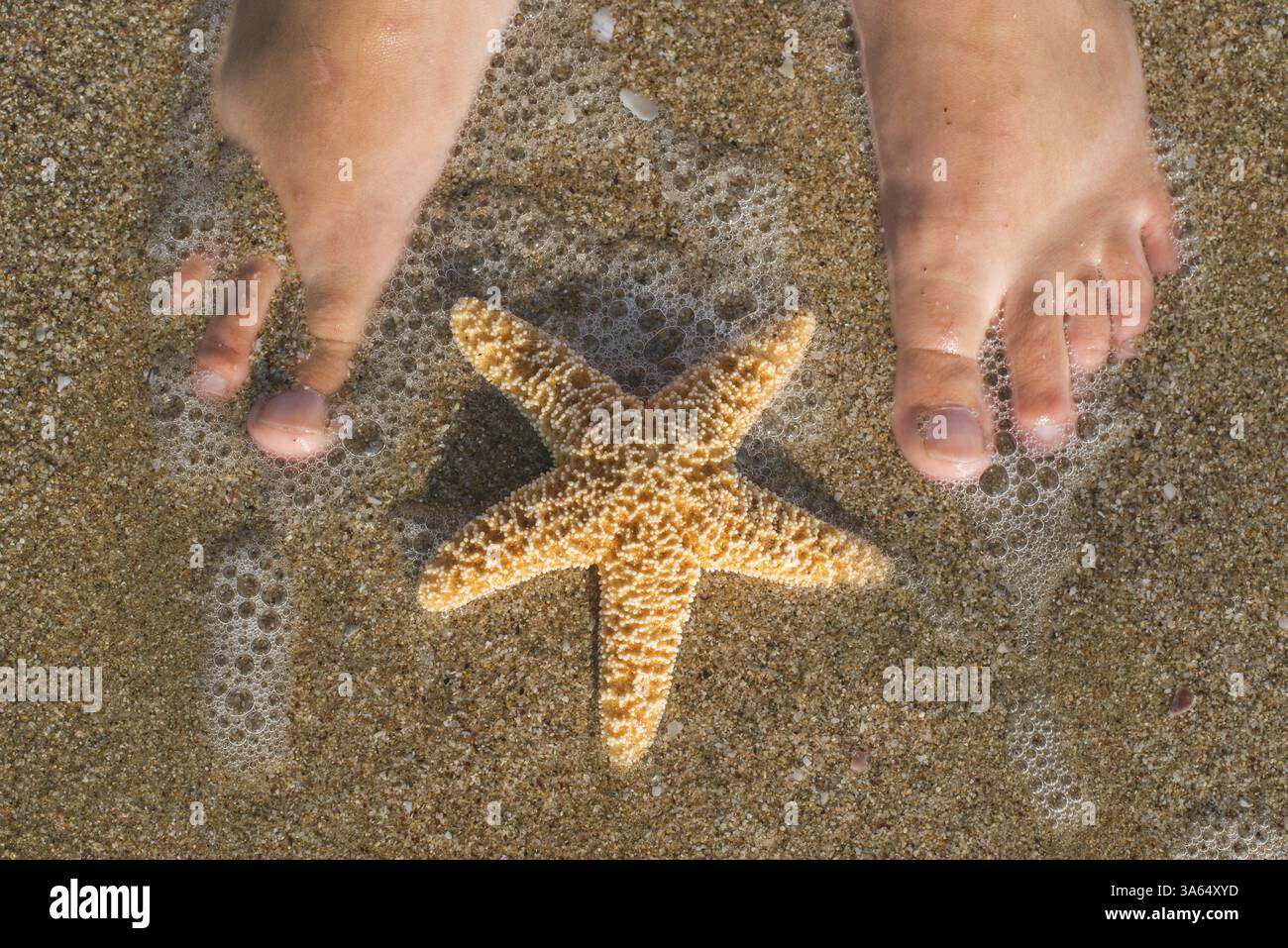 Starfish and feet on the beach. Sea waves Stock Photo - Alamy