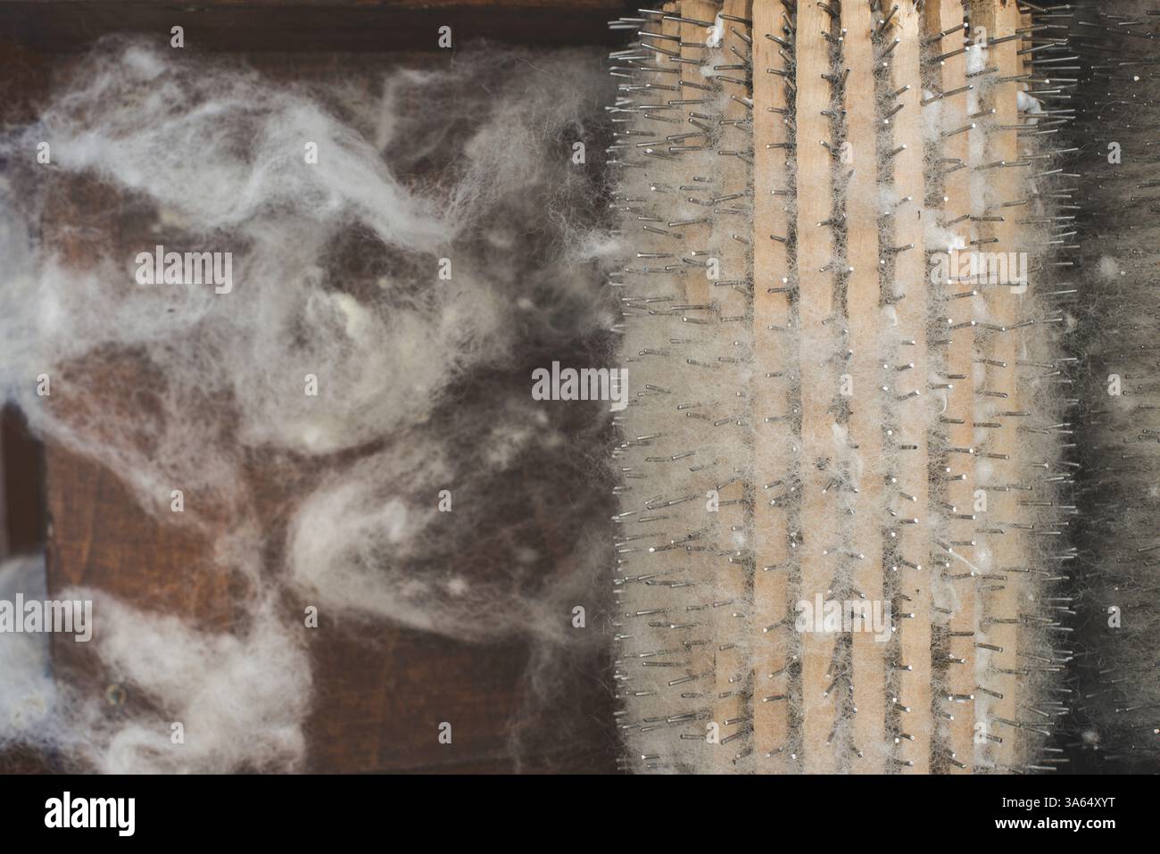 Manual processing of wool Stock Photo - Alamy