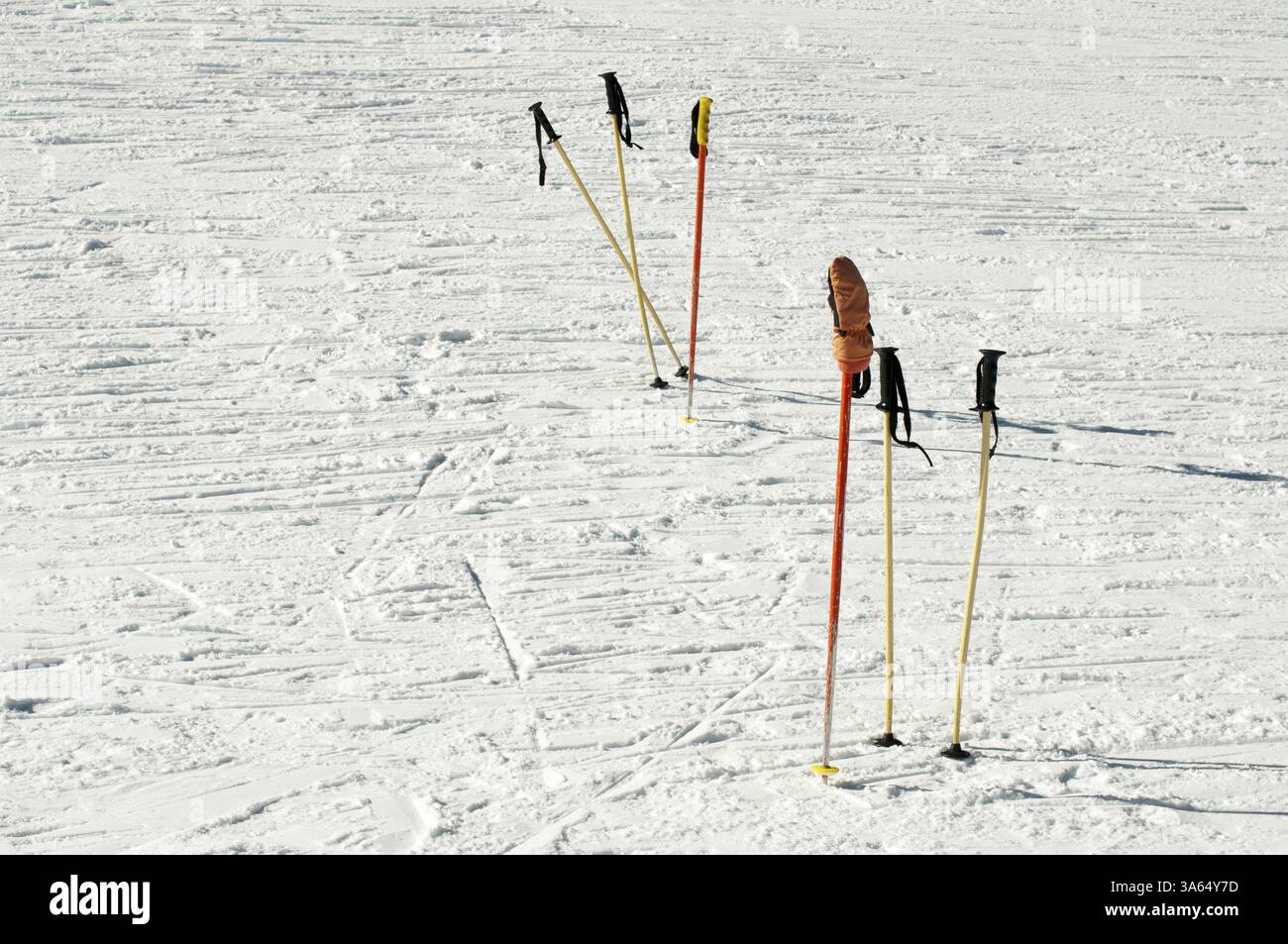 Ski poles stuck in the snow Stock Photo - Alamy