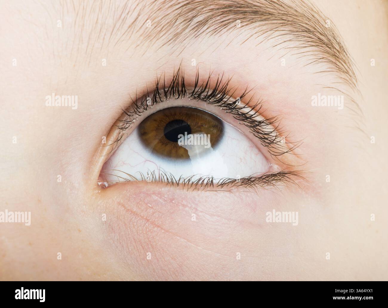 Human eye looking to up. Close up studio shot Stock Photo - Alamy