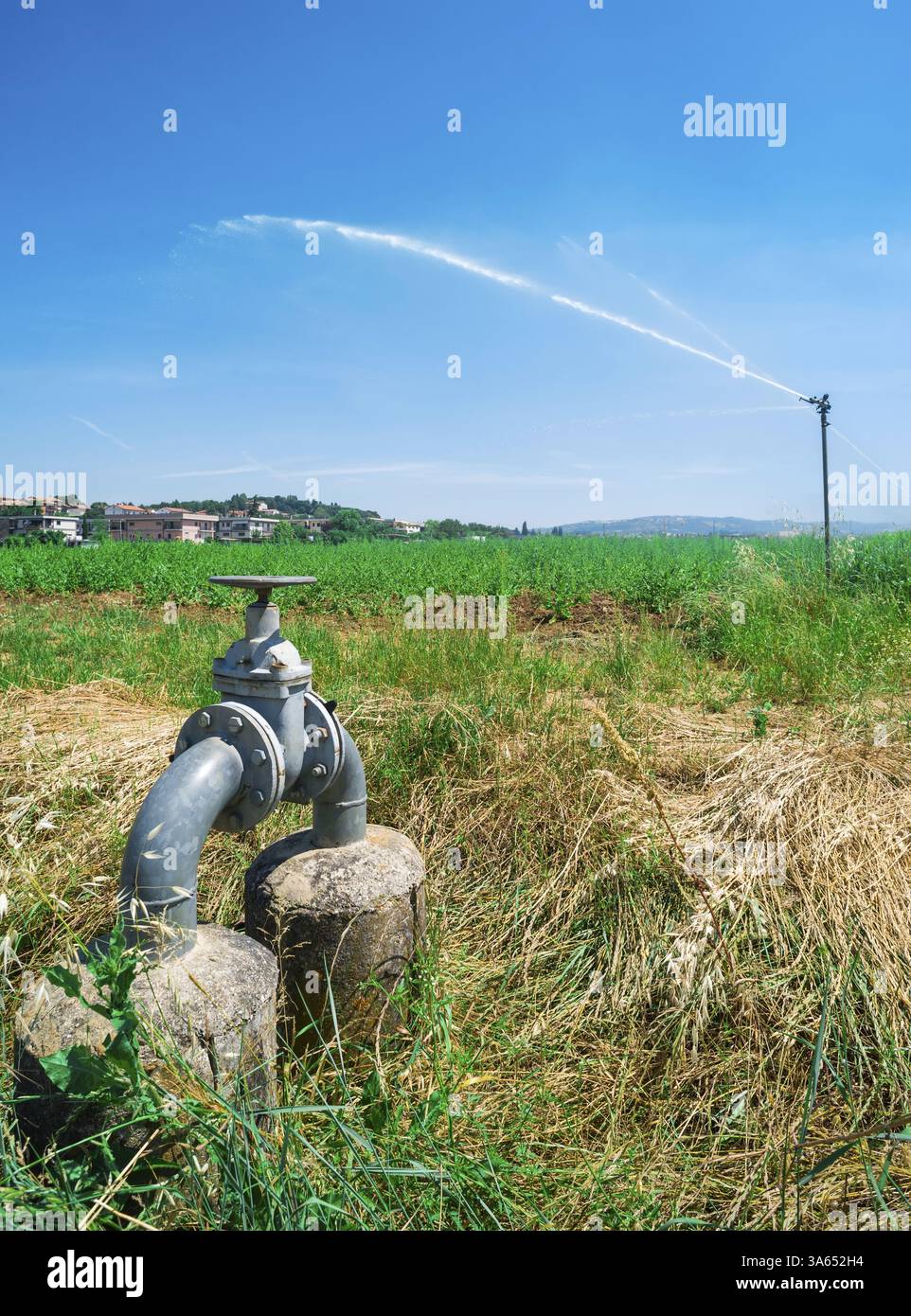 Agricultural irrigation systems. Sprinkler and tubes Stock Photo - Alamy