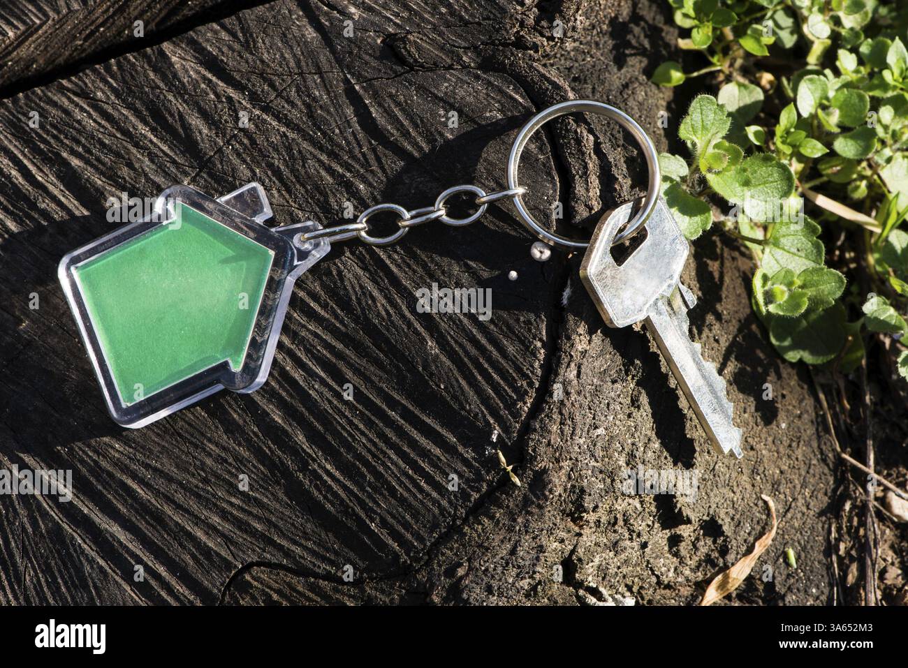 Keychain in a shape of house on wood. Green color house Stock Photo - Alamy