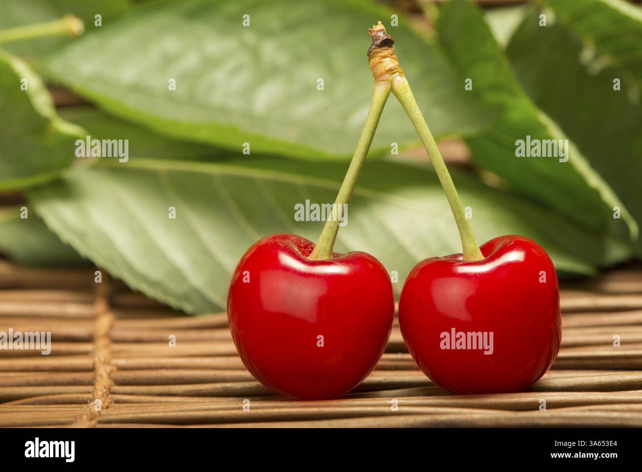 Closeup shot two types hi-res stock photography and images - Alamy
