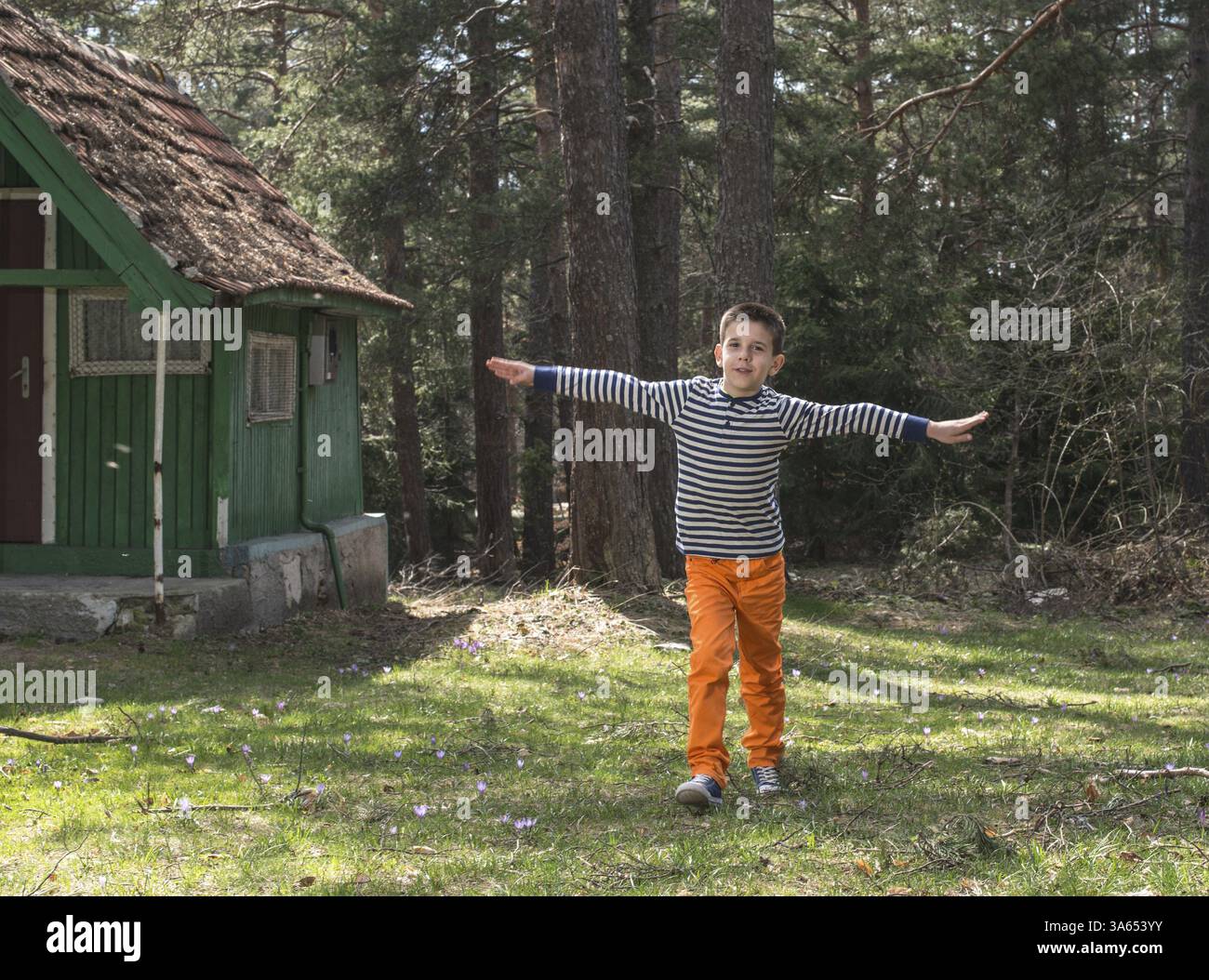 Child play in the forest Stock Photo - Alamy