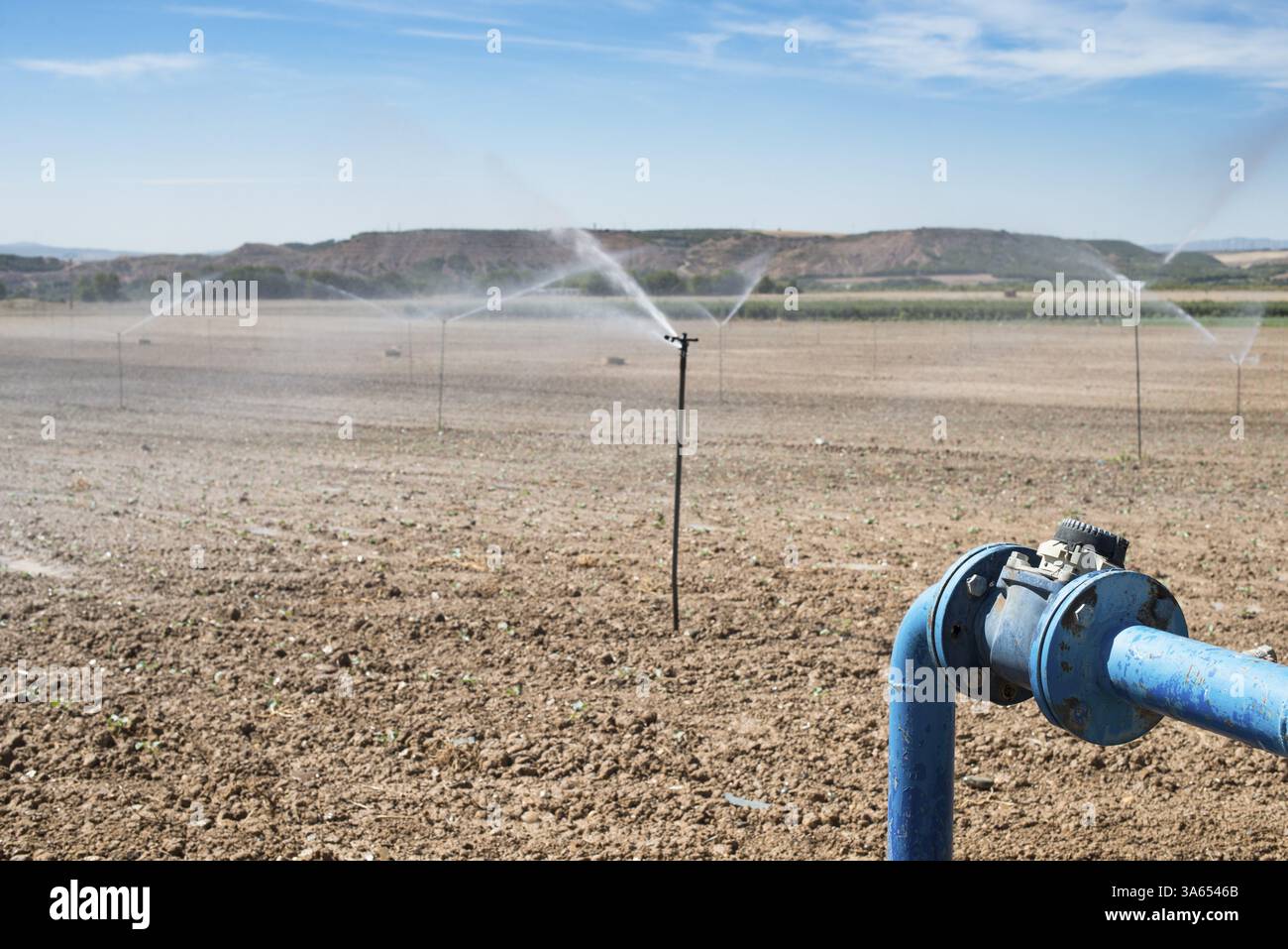 Agriculture pipes and tap water for watering plants Stock Photo - Alamy