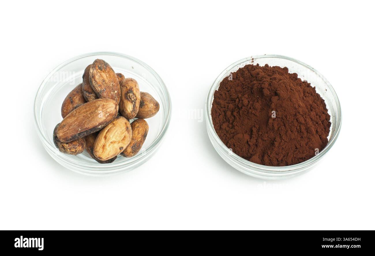 Cocoa beans and cocoa powder in bowls white isolated Stock Photo - Alamy