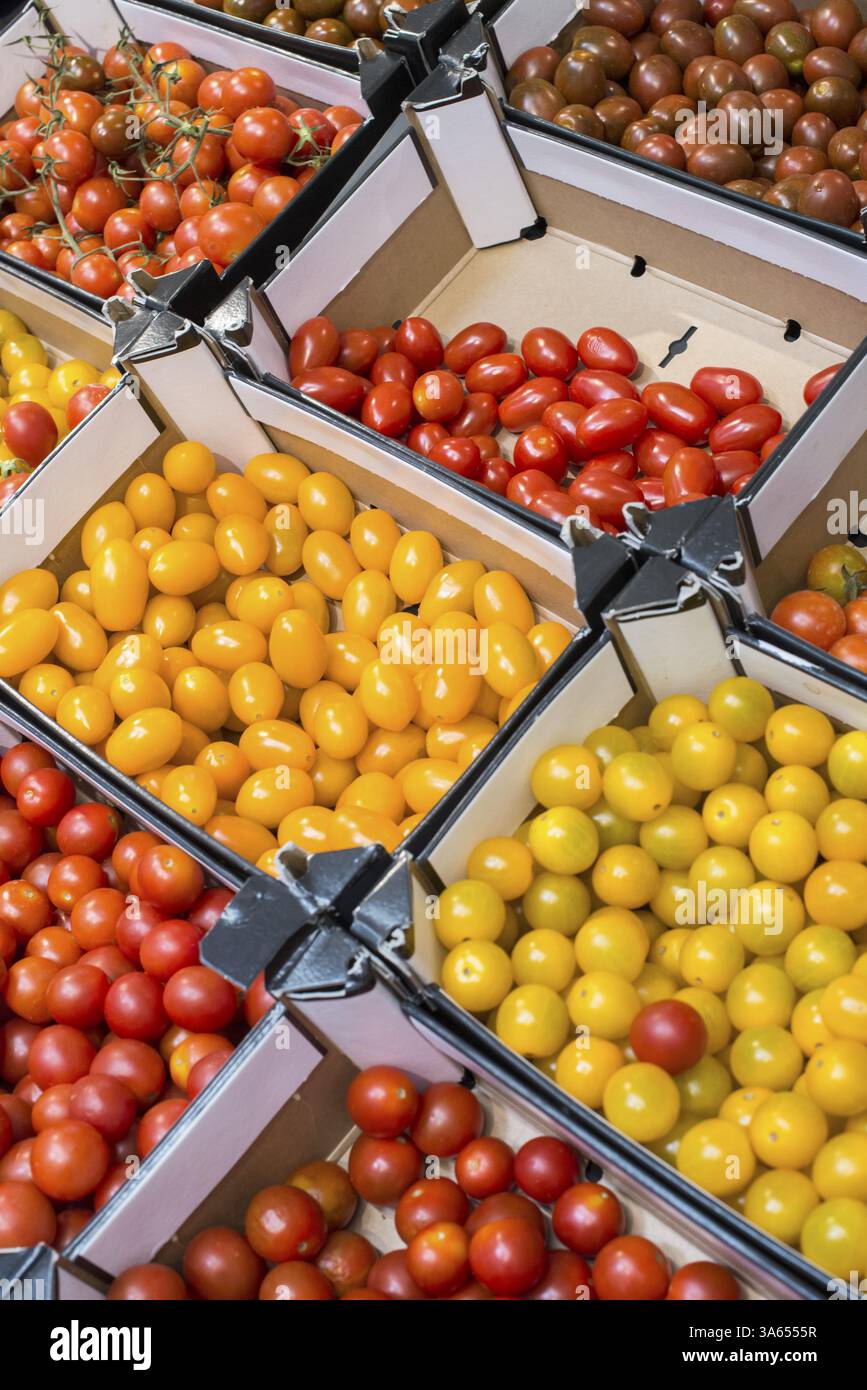 Various tomatoes in supermarket Stock Photo - Alamy