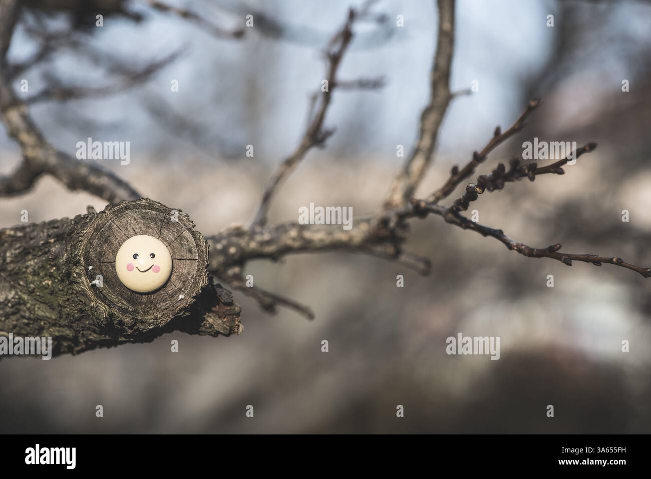 Smiling trees hi-res stock photography and images - Alamy