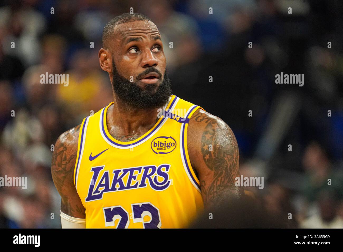 Lebron james lakers 2024 2025 hi-res stock photography and images - Alamy