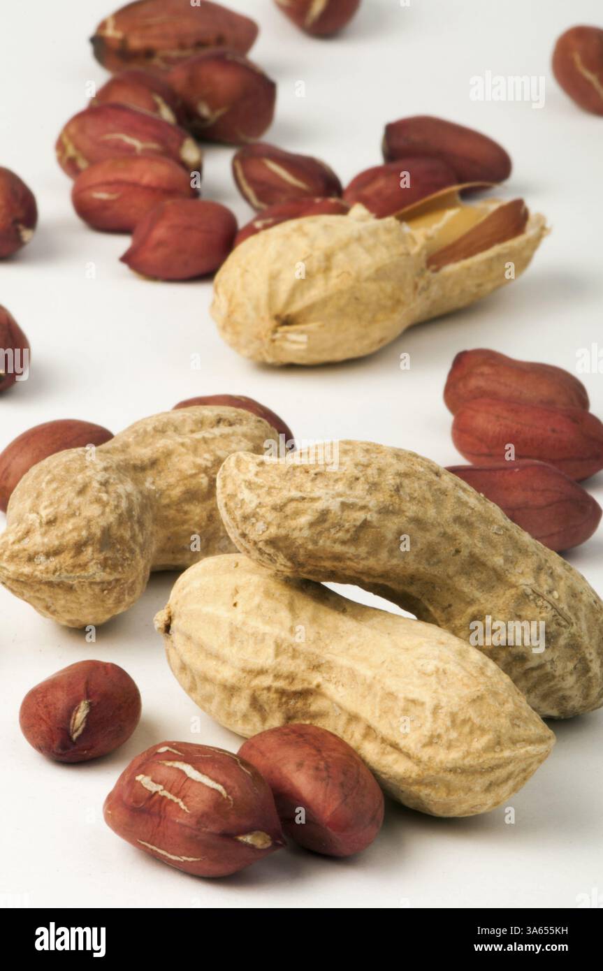 Raw peanuts in shells and shelled peanuts white isolated Stock Photo - Alamy