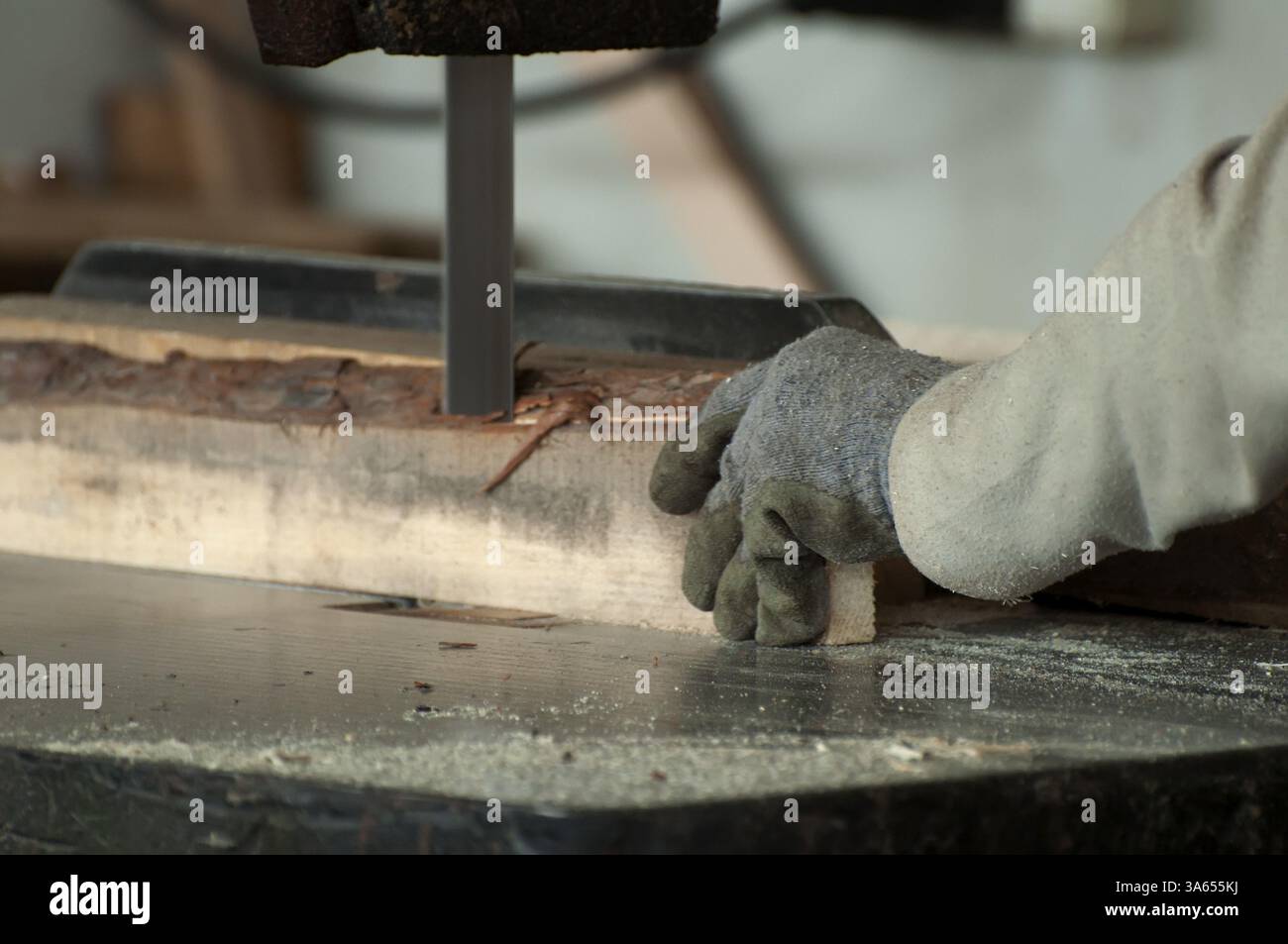 Woodworking factory worker who cut on circular machine Stock Photo - Alamy